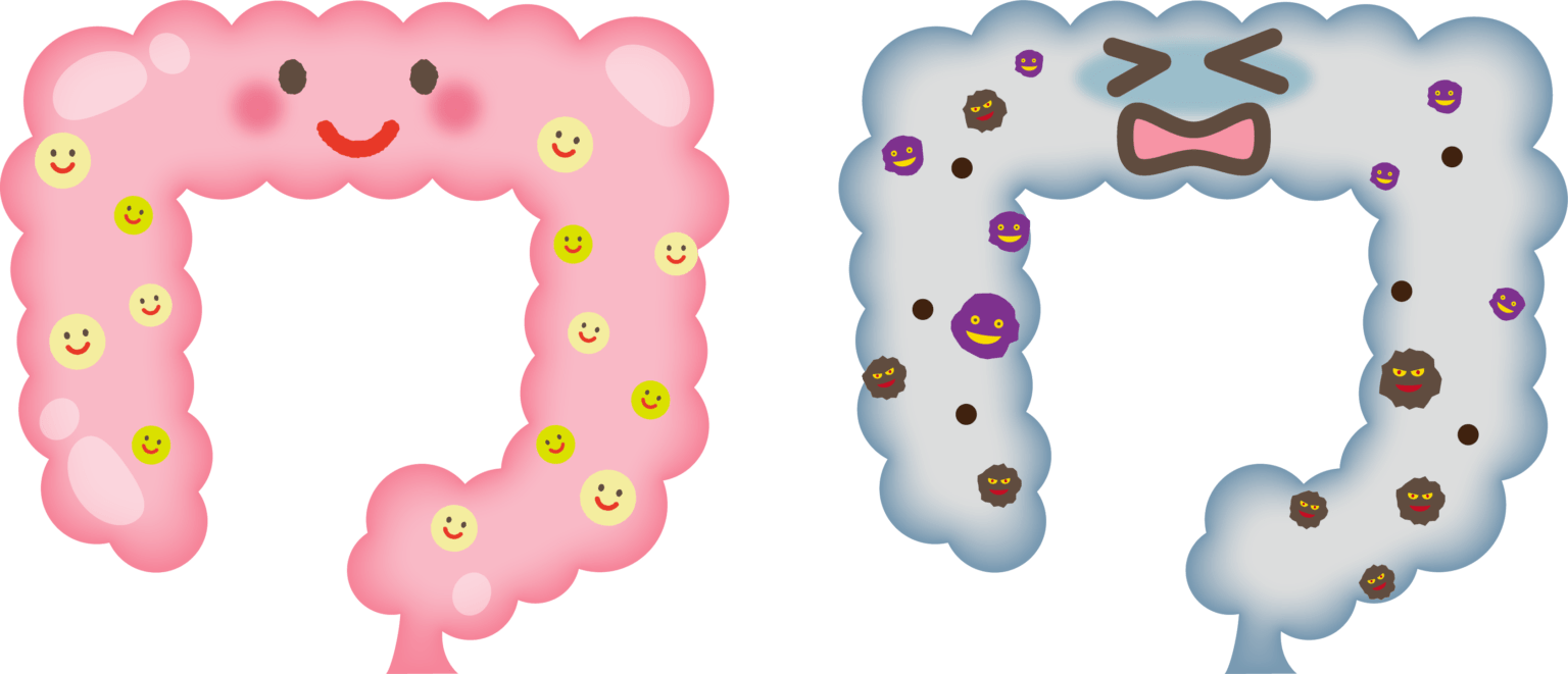 How to Take Fiber for Constipation?