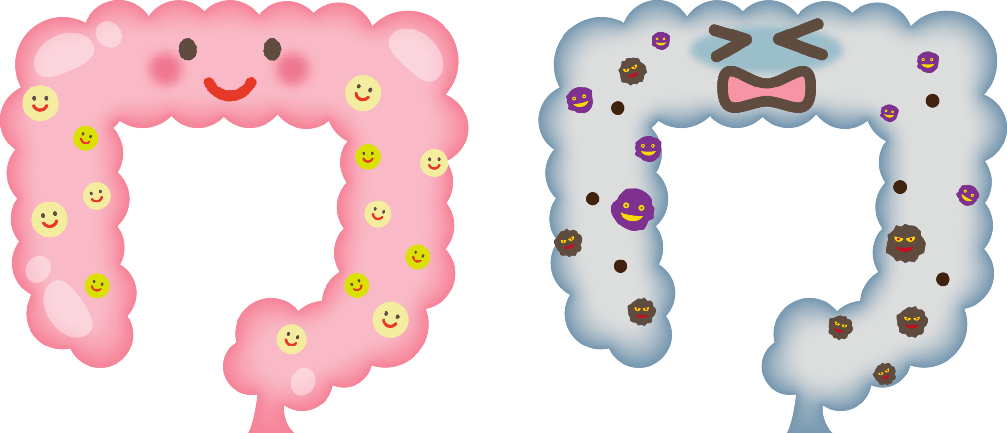 How to Take Fiber for Constipation?